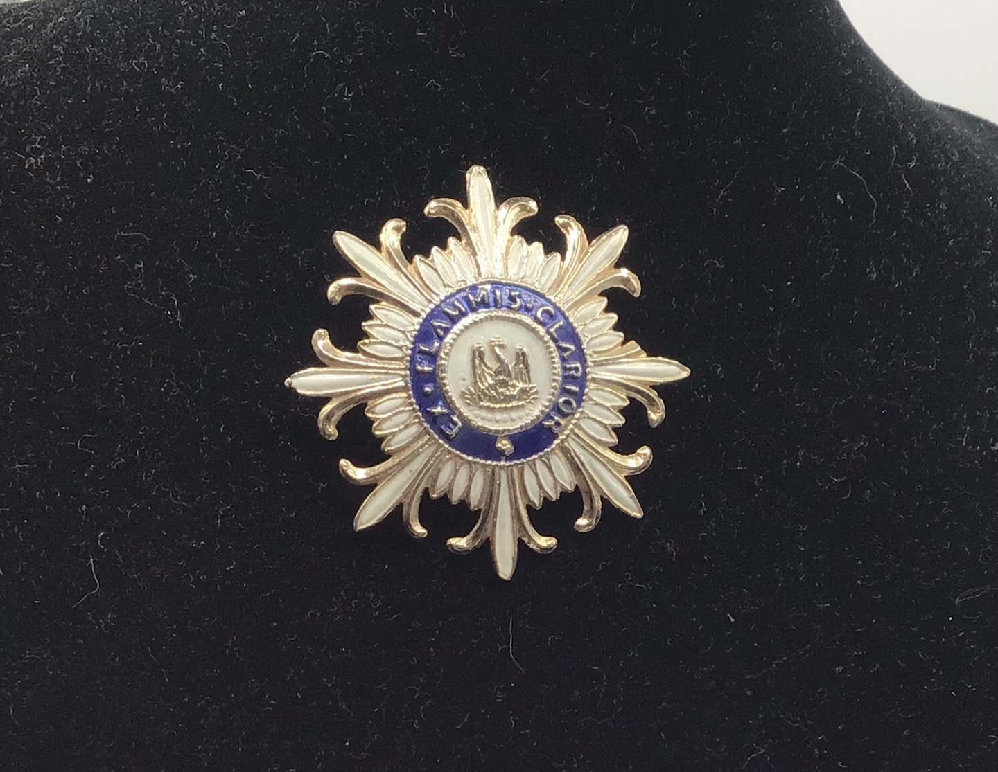 Vintage Masonic Order Of The Phoenix Pin