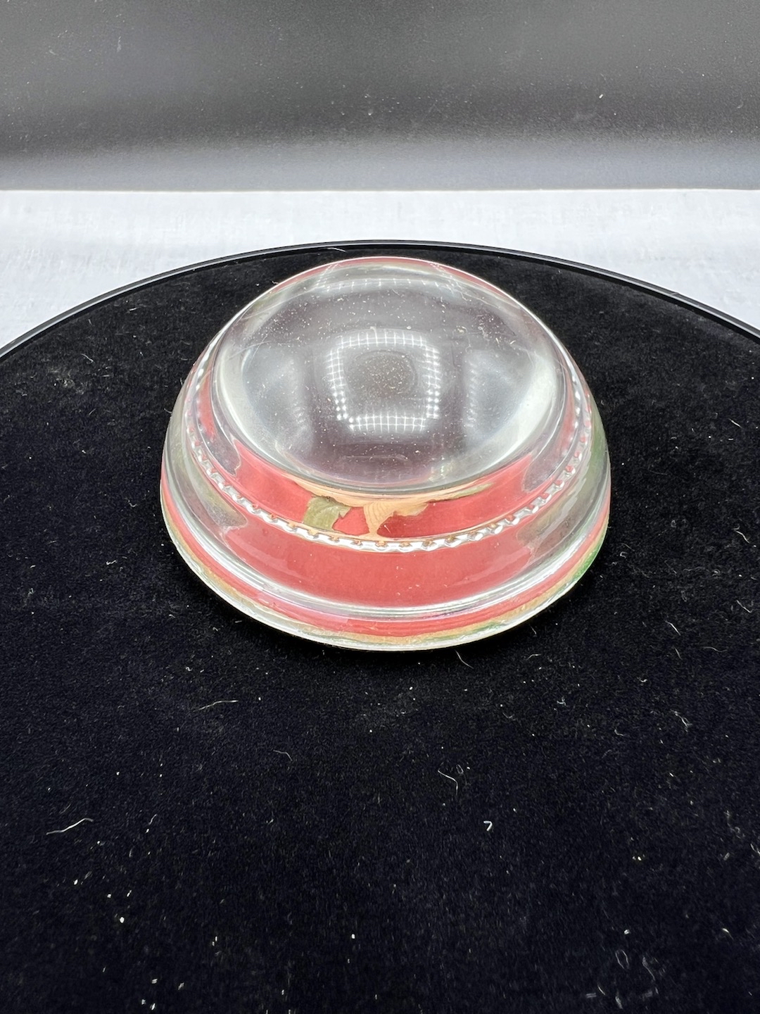 Lucite Paperweight With Single Flower (possible Dogwood Flower)