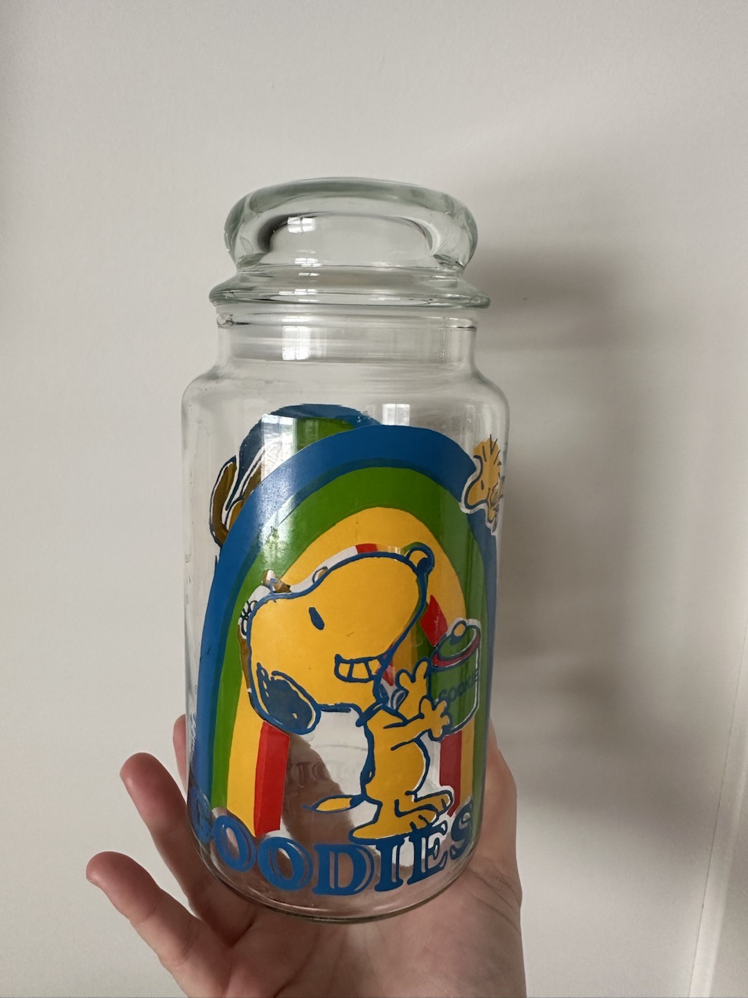 Vintage Rainbow Snoopy Jar