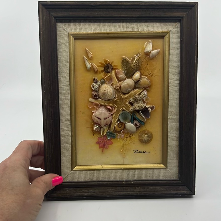 Vintage Framed Shell Art In Lucite Signed 9.5x7.75