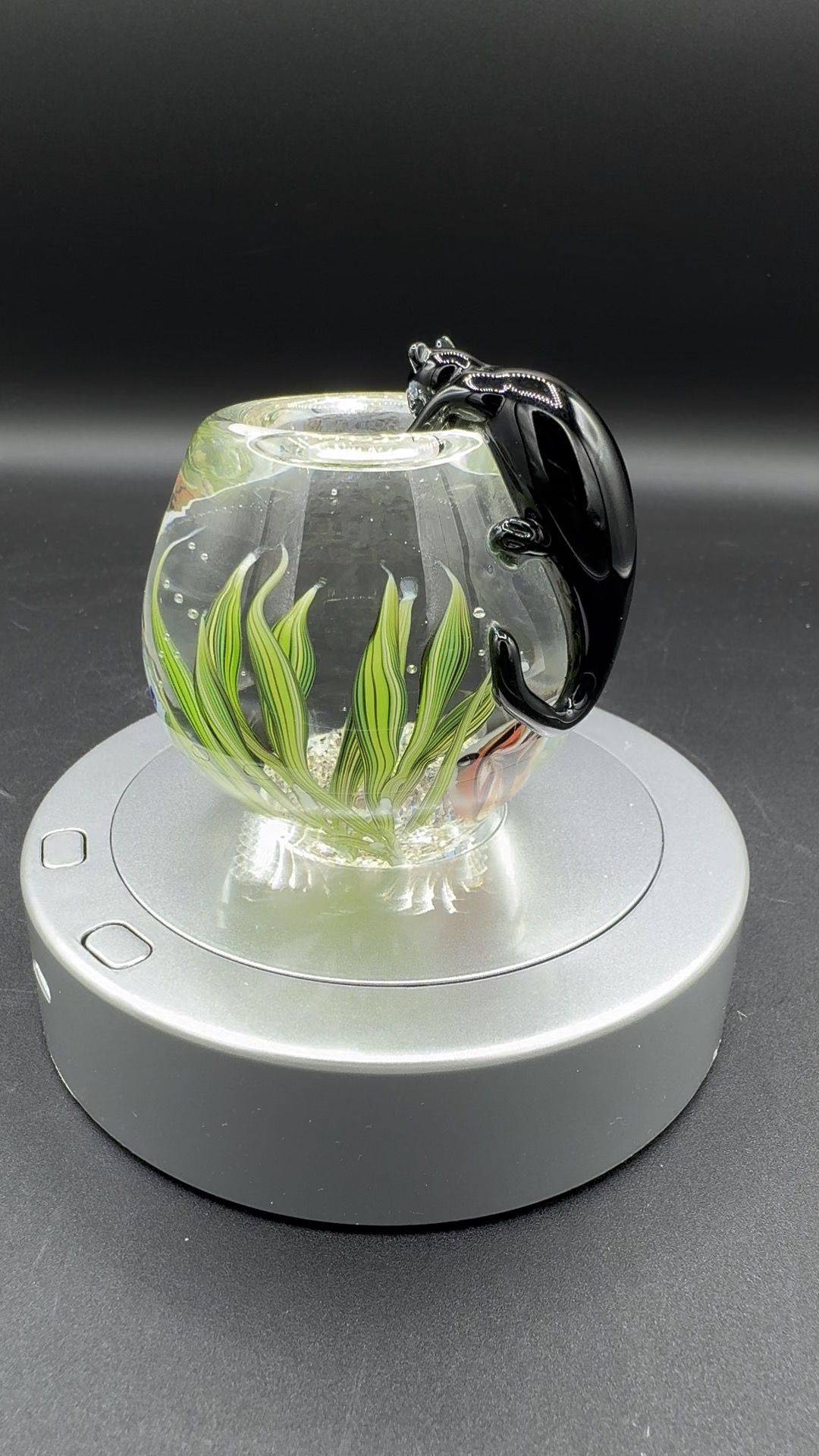 Steven Correia Black Cat On Fish Bowl Lampwork Art Glass Paperweight