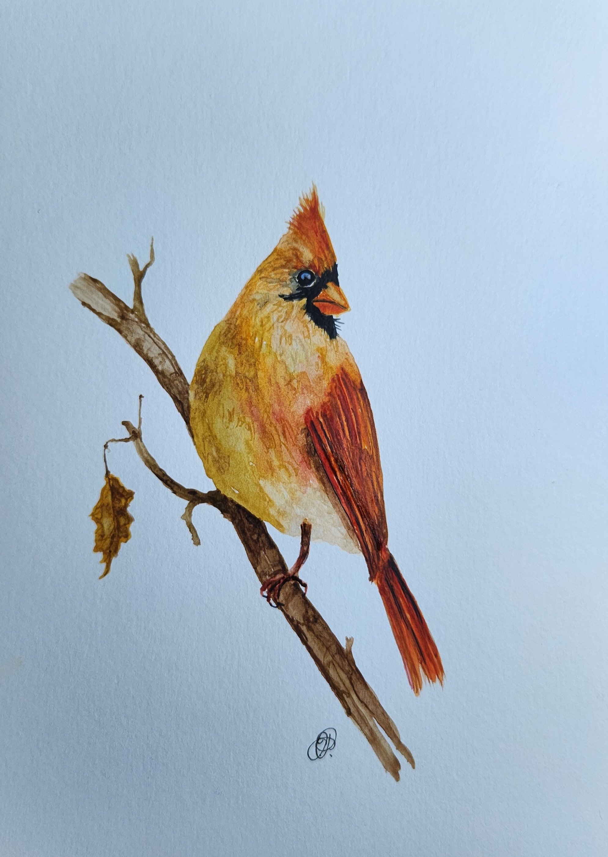 Cardinal Original Watercolor Painting Signed By The Artist 5x7 Free ...