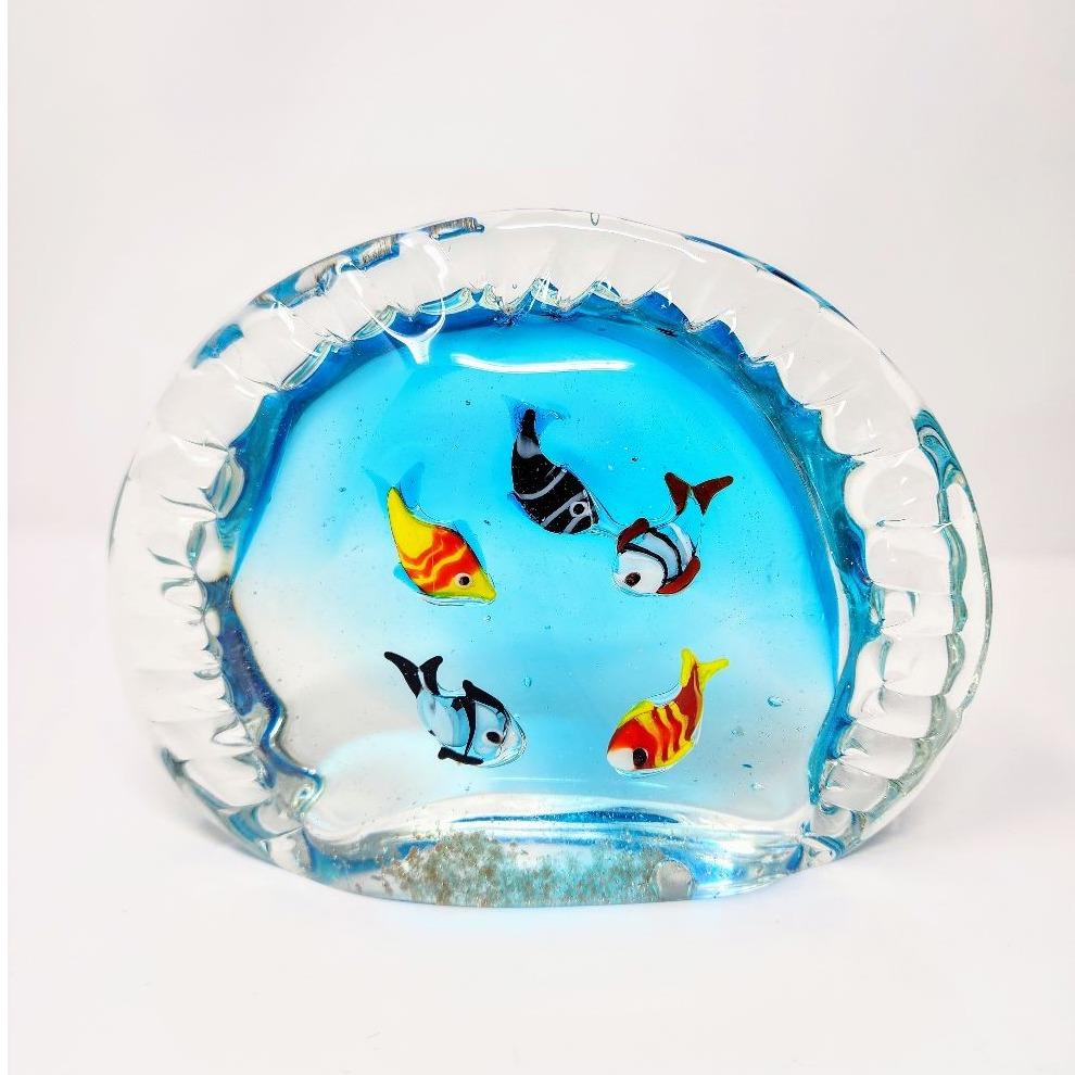 Glass Clam Shell Aquarium with Fish