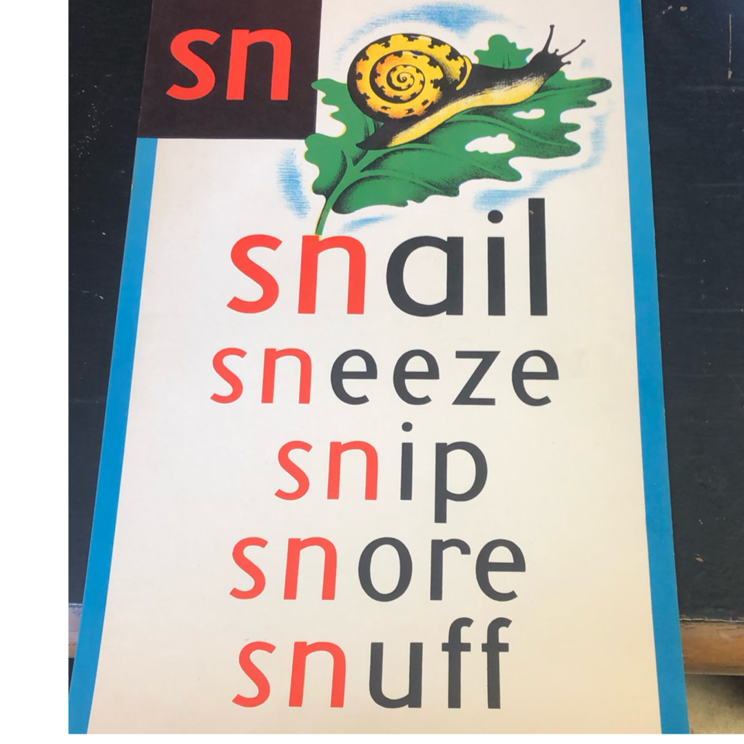 Snail Sn Flash Card CS Hammond & Company