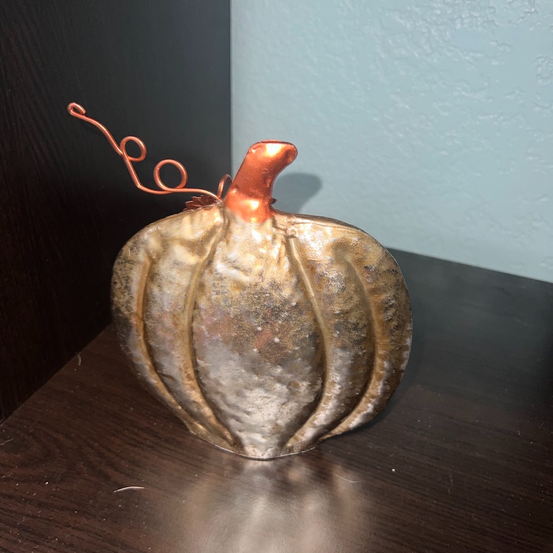 Fall Clearance! Metal Pumpkin Decor
