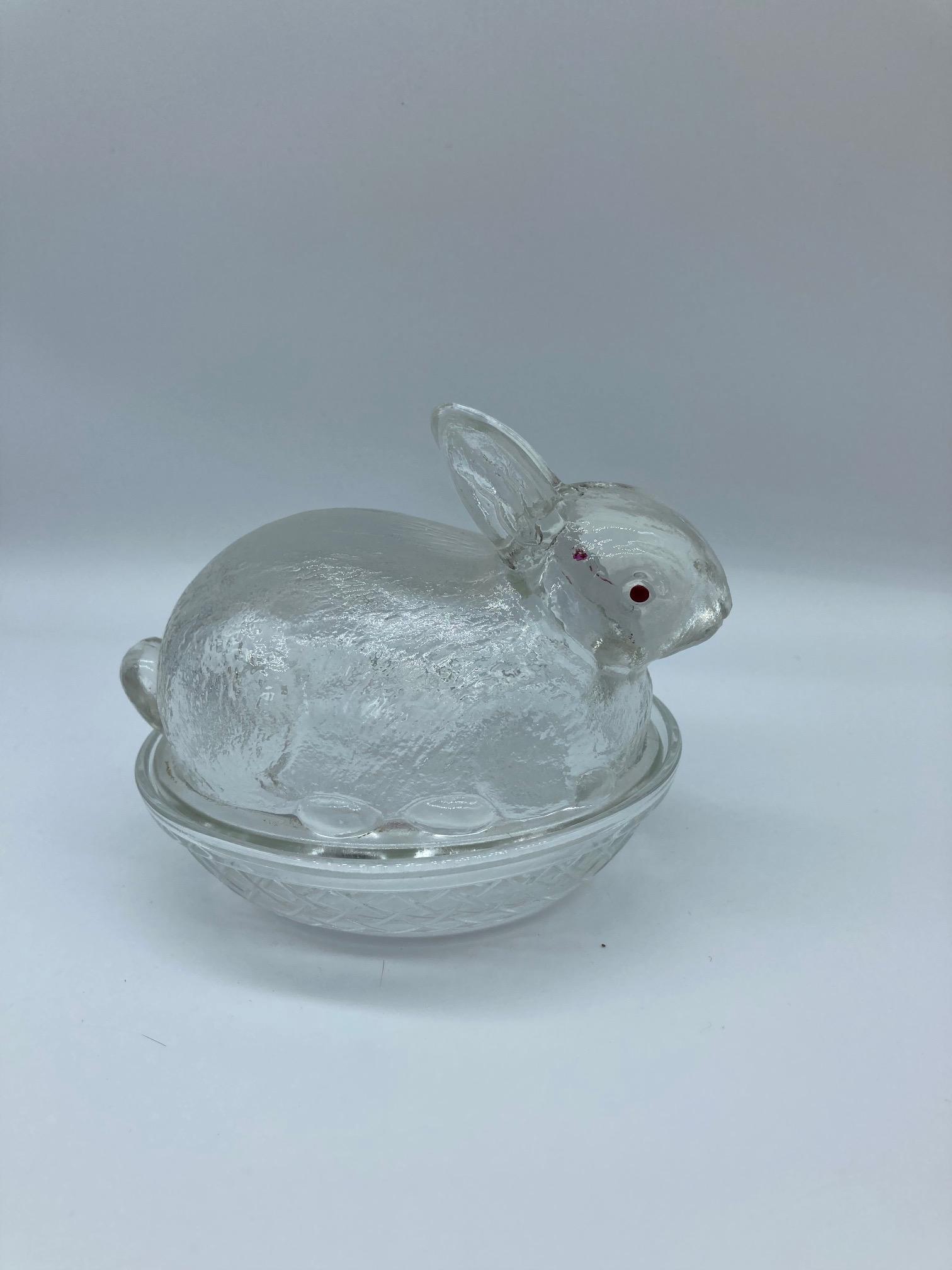 Small Clear Bunny on Nest with Red Eyes