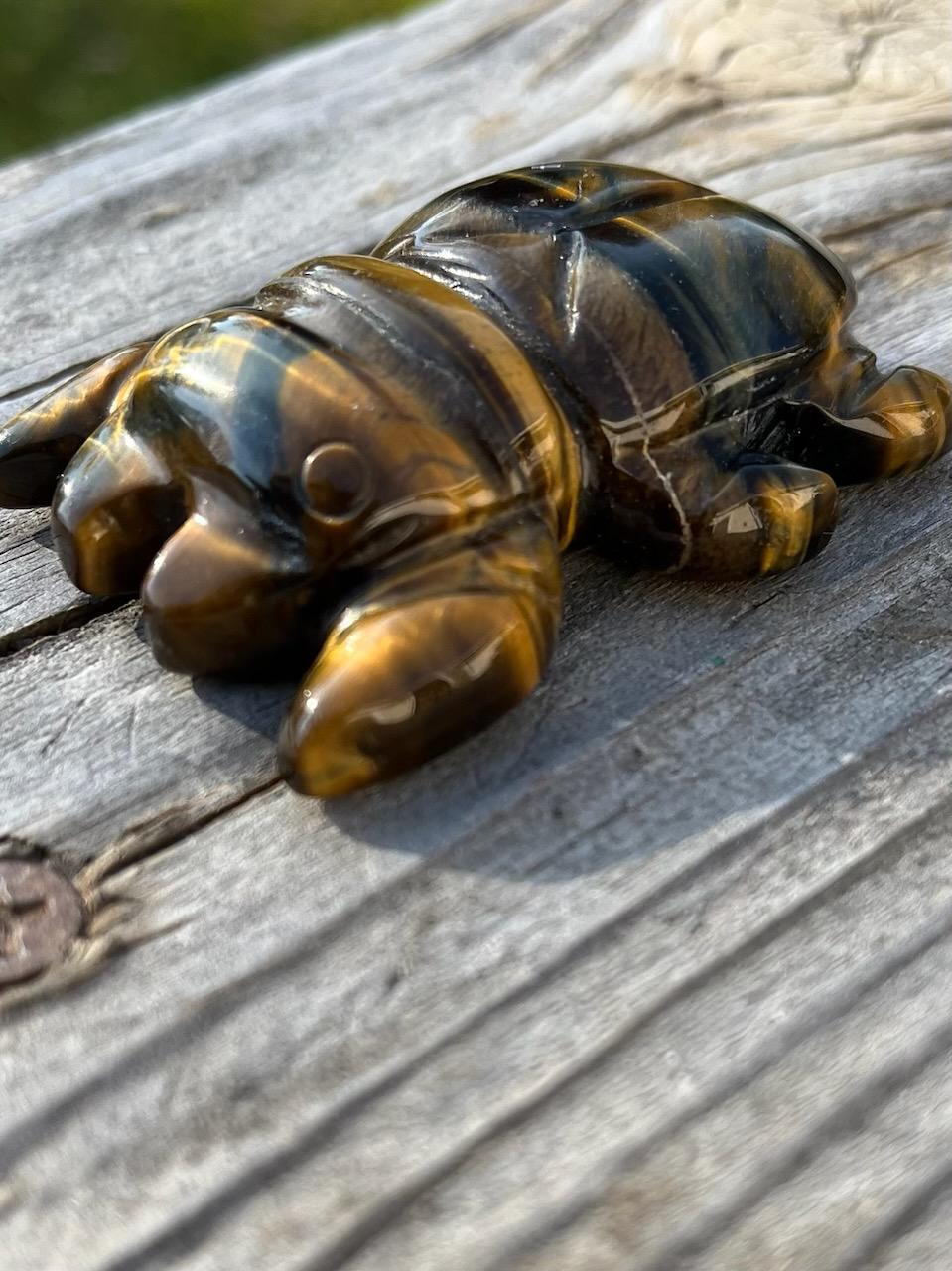 Artisan Carved Tiger Eye Beetle Bug CLOSEOUT AUCTION
