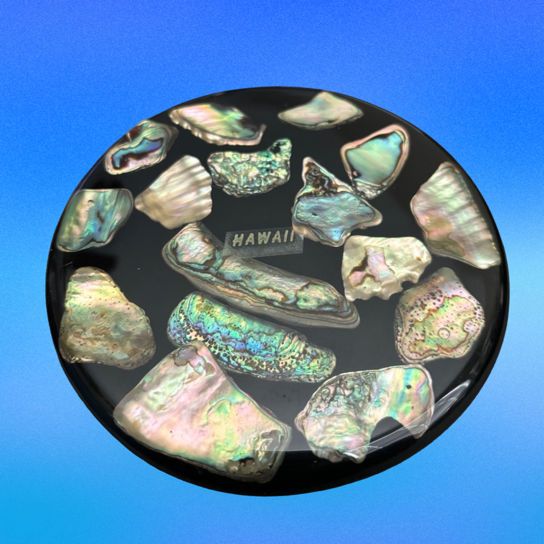 Vintage Black & Lucite Abalone Shell Trivet ~ Hawaii Souvenir
