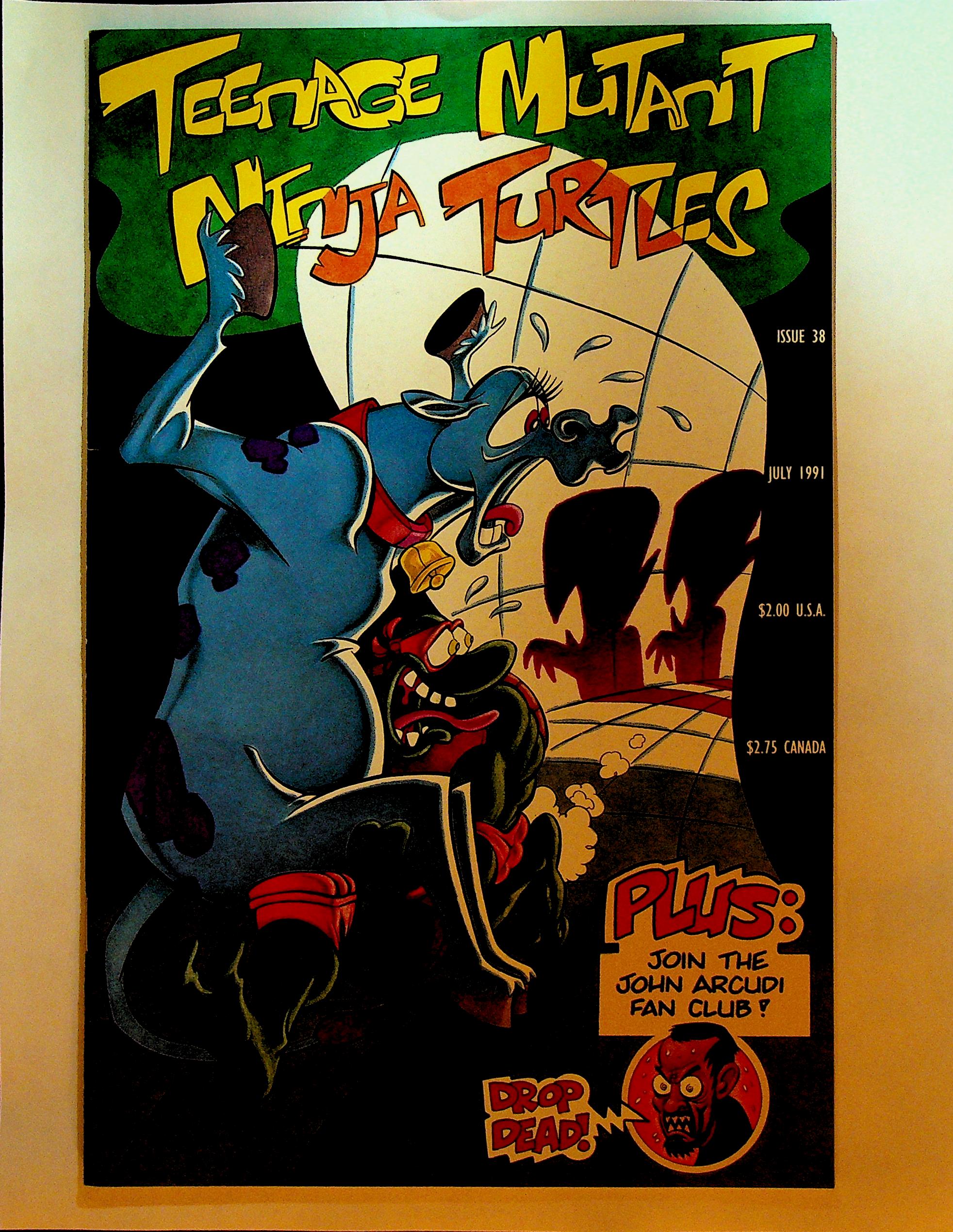 Teenage Mutant Ninja Turtles 38