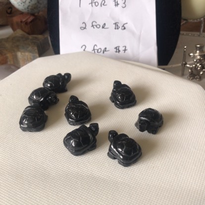 #07 -Obsidian Turtle Choice