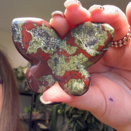 Dragons Blood Butterfly
