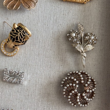 Brooch pic of