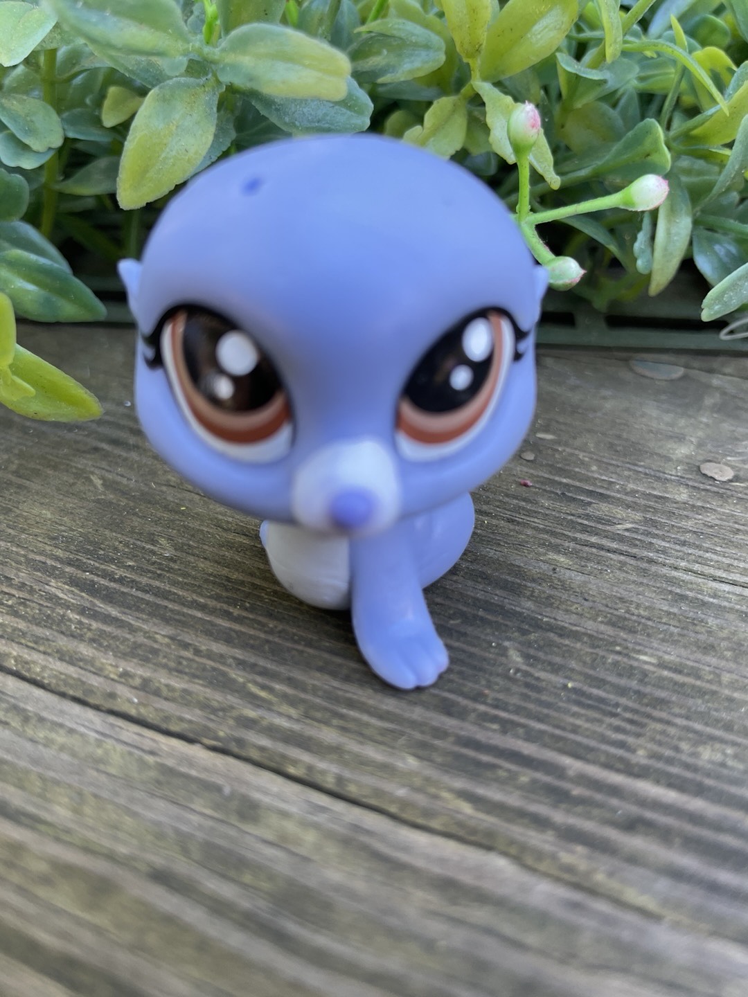 Littlest Pet Shop LPS #58 Sealy Pinney Blue Brown Eyes Rare