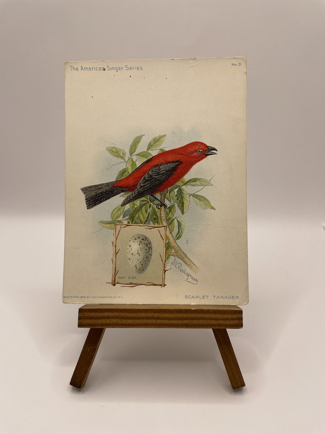 The American Singer Series, “Scarlet Tanager”, Copyright 1898, NY ...