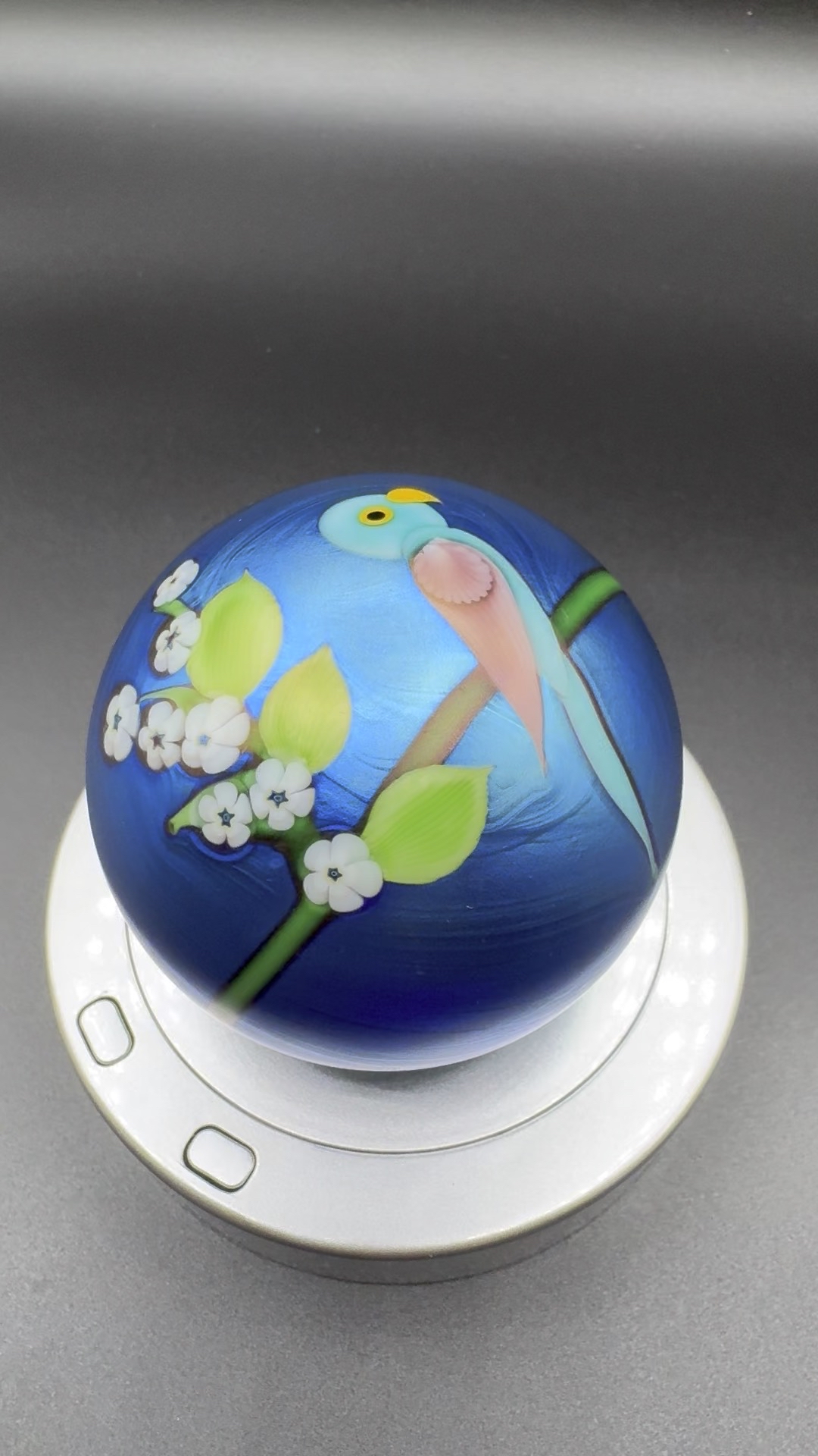 1981 Orient Flume Cobalt Glass Iridescent Parrot Cherry Blossom Luster ...