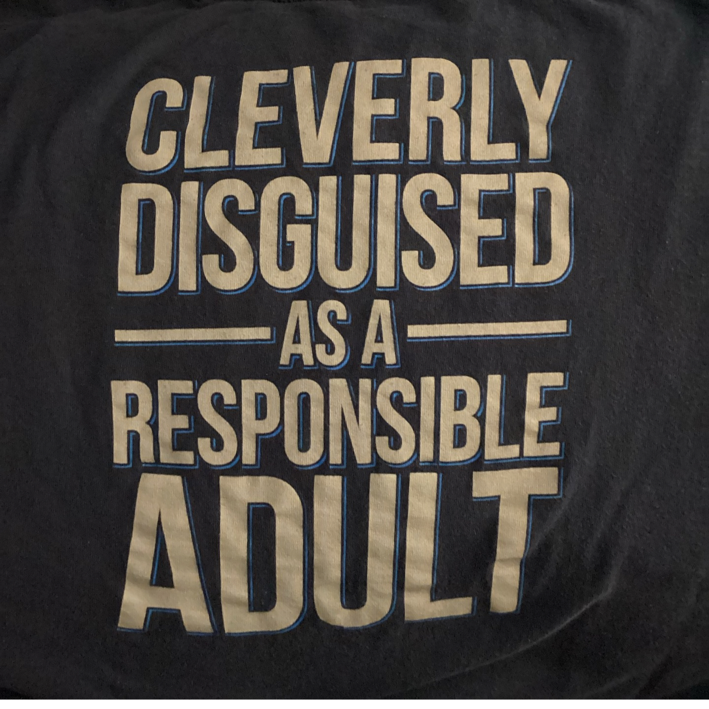 Cleverly Disguised as a Responsible Adult Tee Shirt 3XL