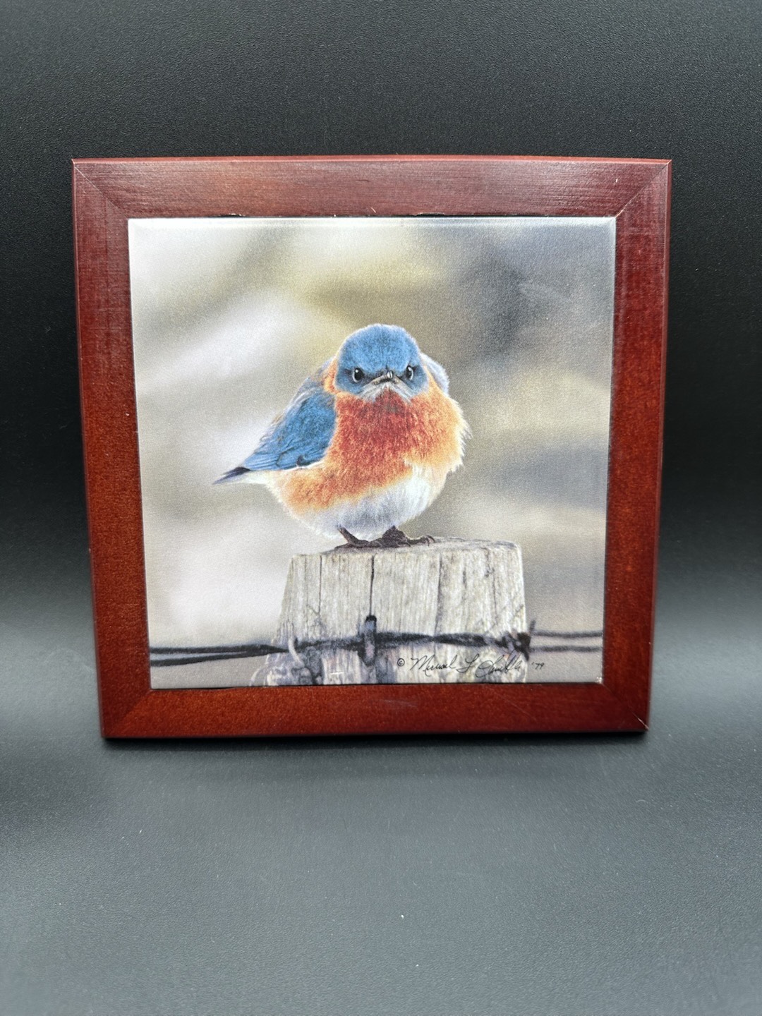 The Angry Bluebird Wall Decor, Michael L. Smith 1979