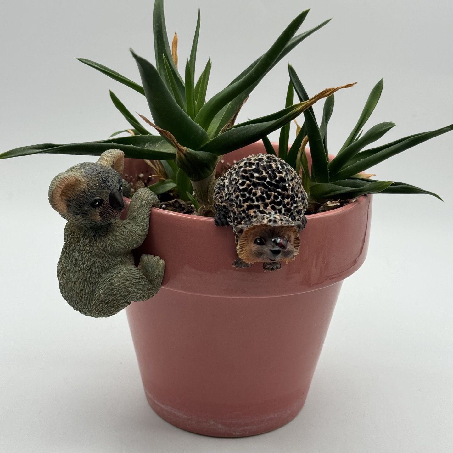 Set Of 2 Hedgehog Koala Bear Planter Hangers Garden Ornaments Resin