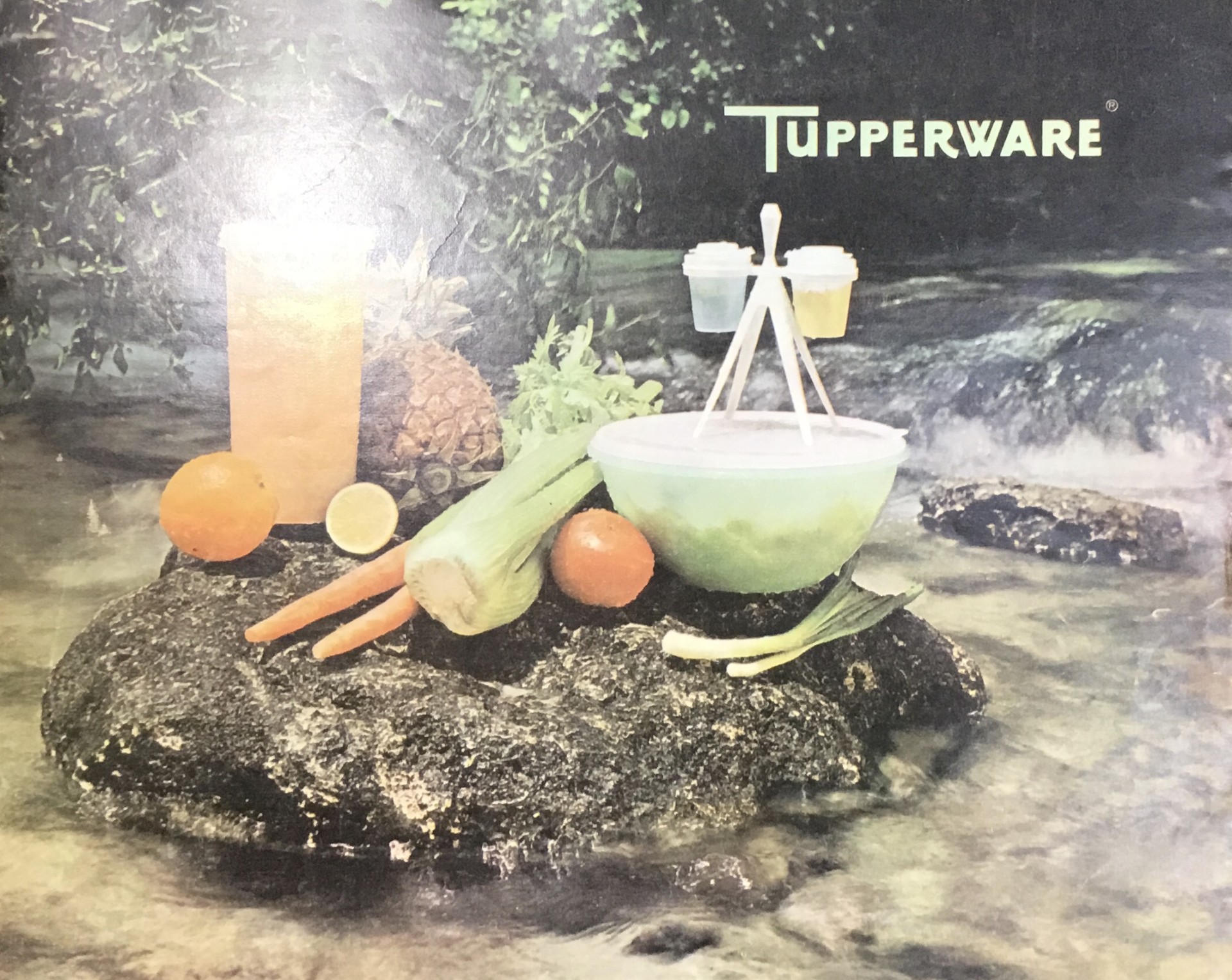 Vintage Tupperware brochure, 25 pages, 1964 by Rexall Drug Co.