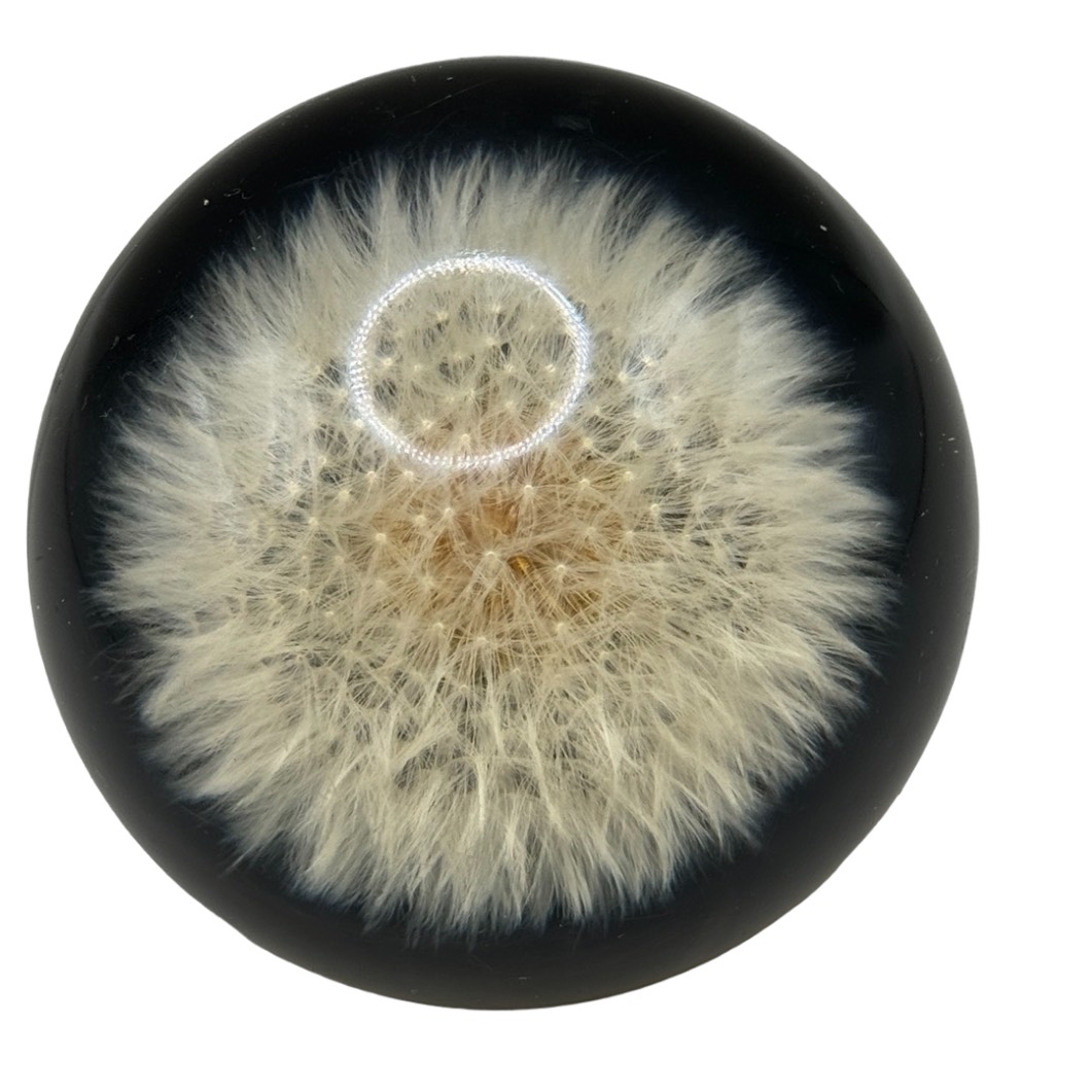 Vintage Handcrafted Acrylic/Lucite Tarax Infinity Products. Milkweed ...