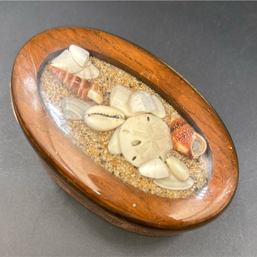 Vintage Seashell sand dollar loose site Oval Lidded trinket dish