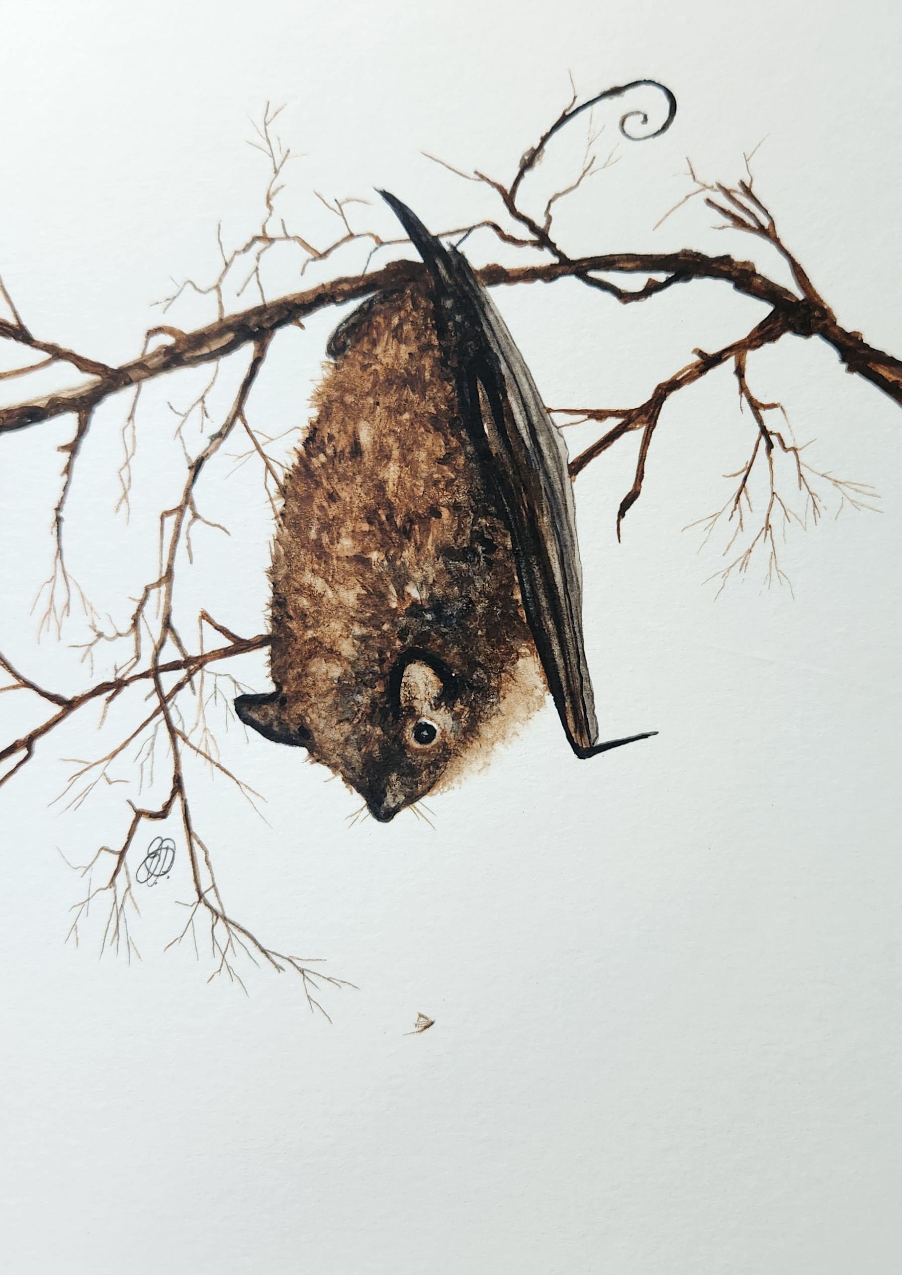 Bat Original watercolor painting Signed By The Artist 5x7 Free Shipping