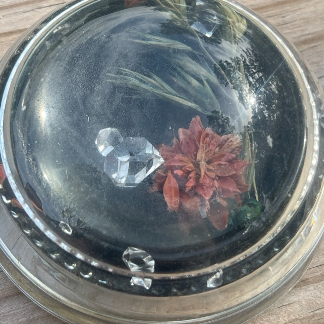 11. Domed Paperweight Dried Flowers