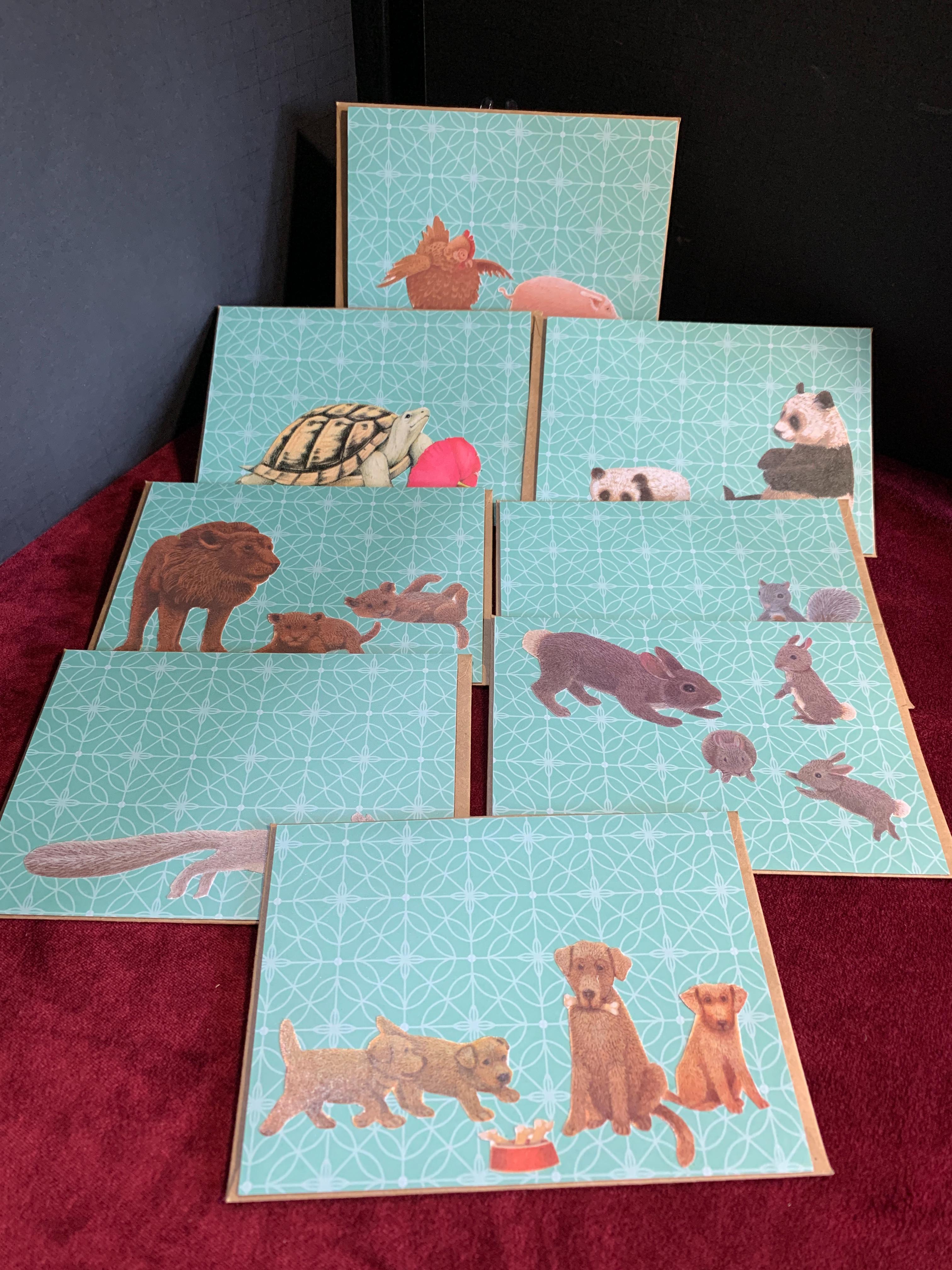 8 Animals Cards