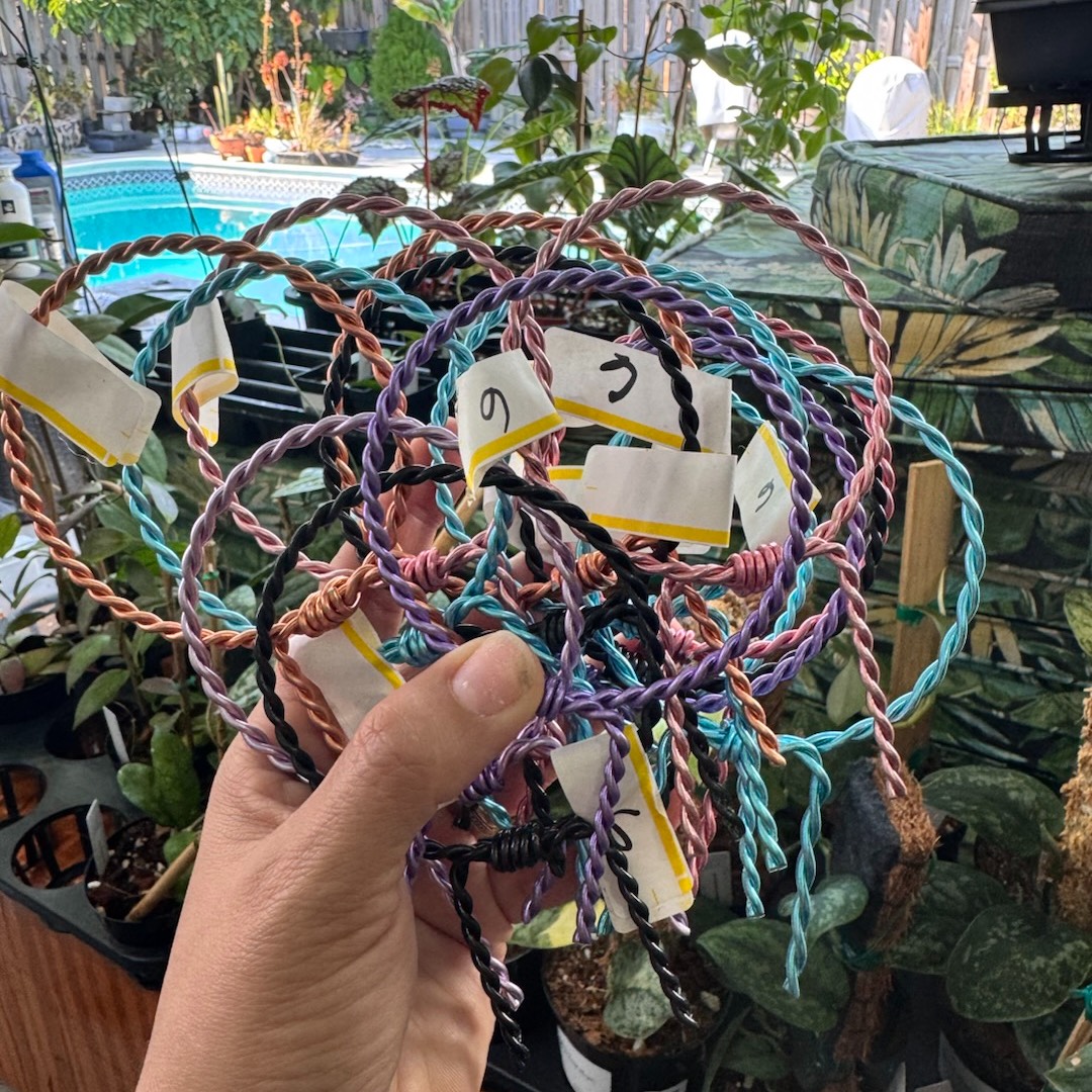 3” hoop trellis random color (add on only)