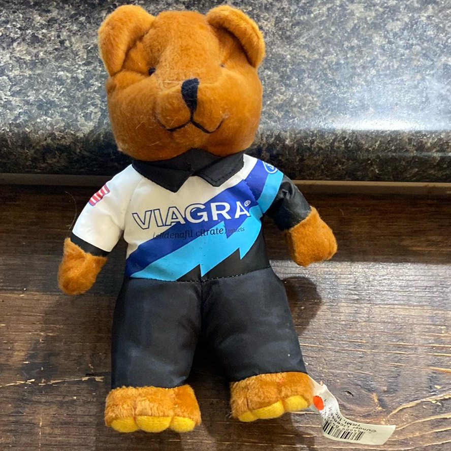 #06 - Viagara Racing Bear