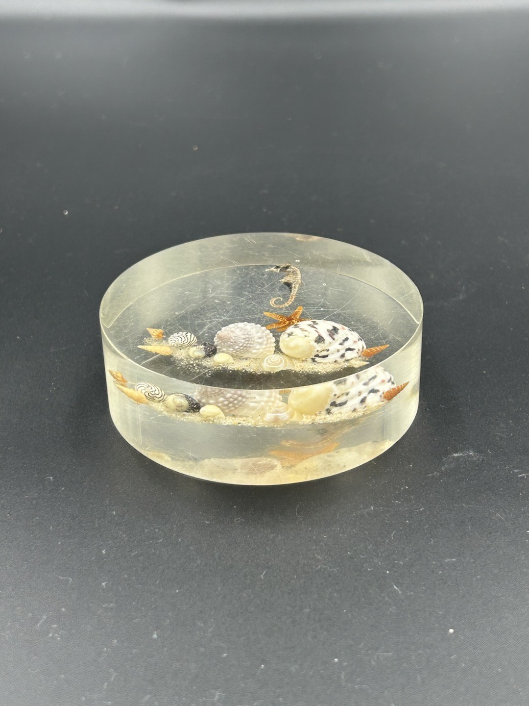 Vintage 1960’s Lucite Paperweight Figurine Under The Sea