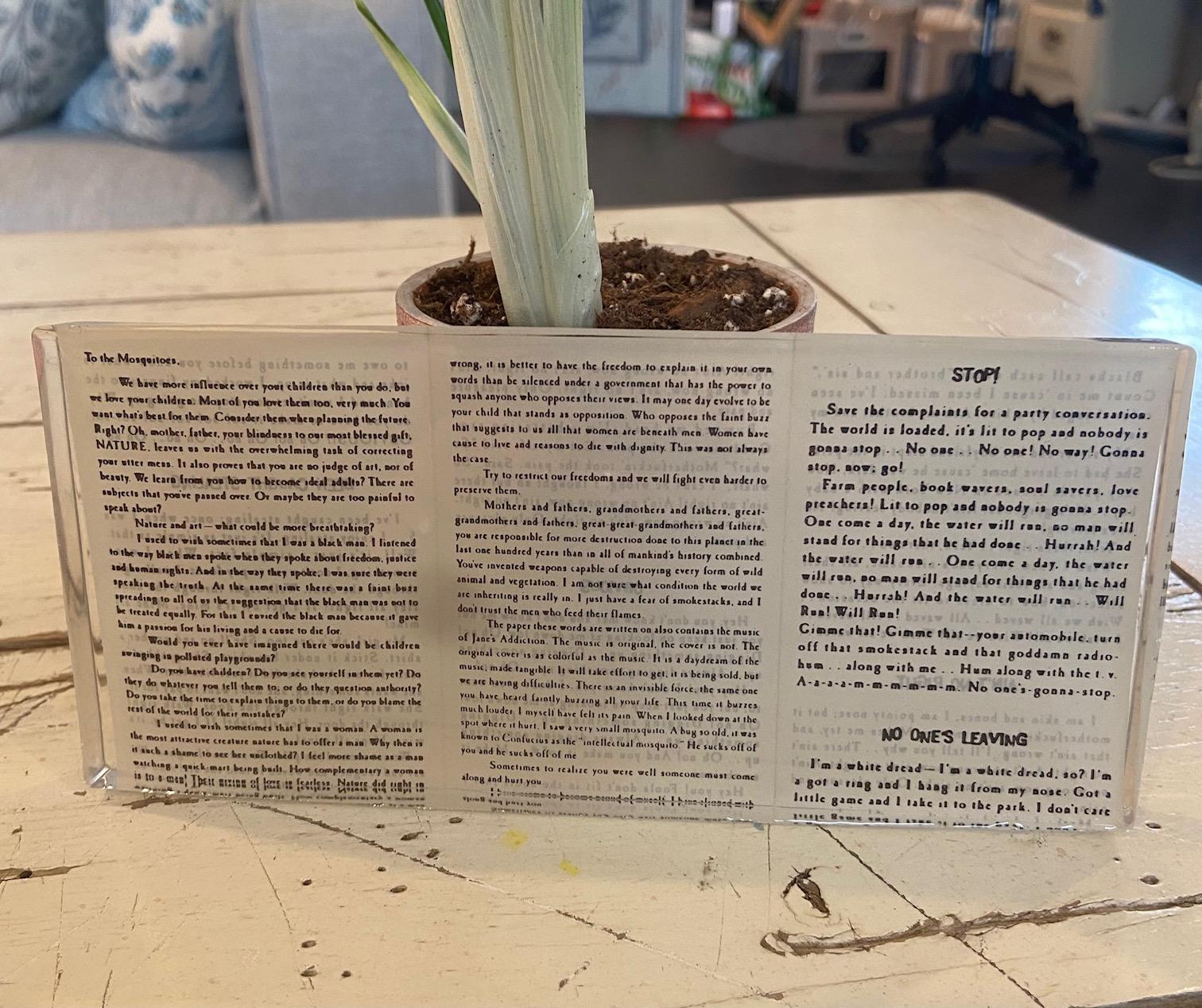 Janes Addiction Cassette Liner Notes Bookend