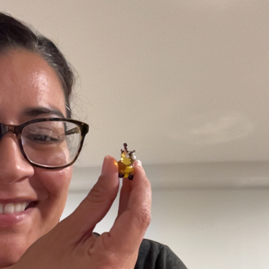 #01 - Winners Choice : One Mini Glass Critter