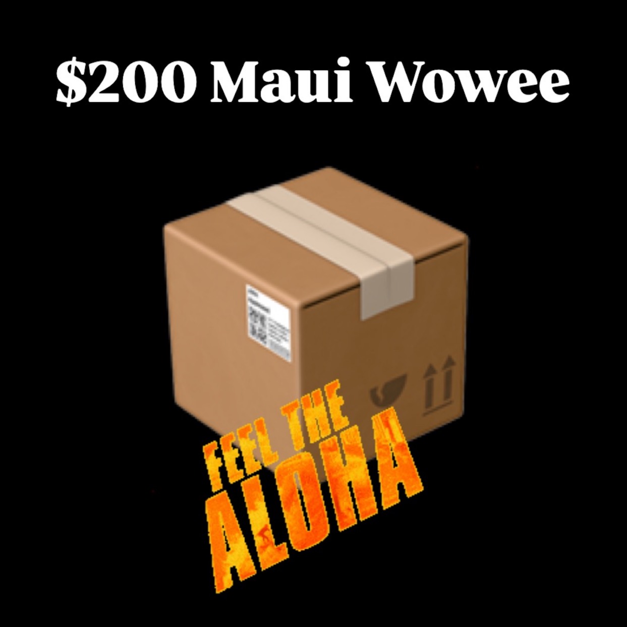 $200 Maui Wowee Mystery Hoya Cuttings Box