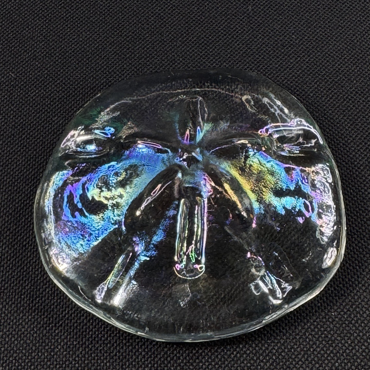 Iridescent Glass Sand Dollar Paperweight