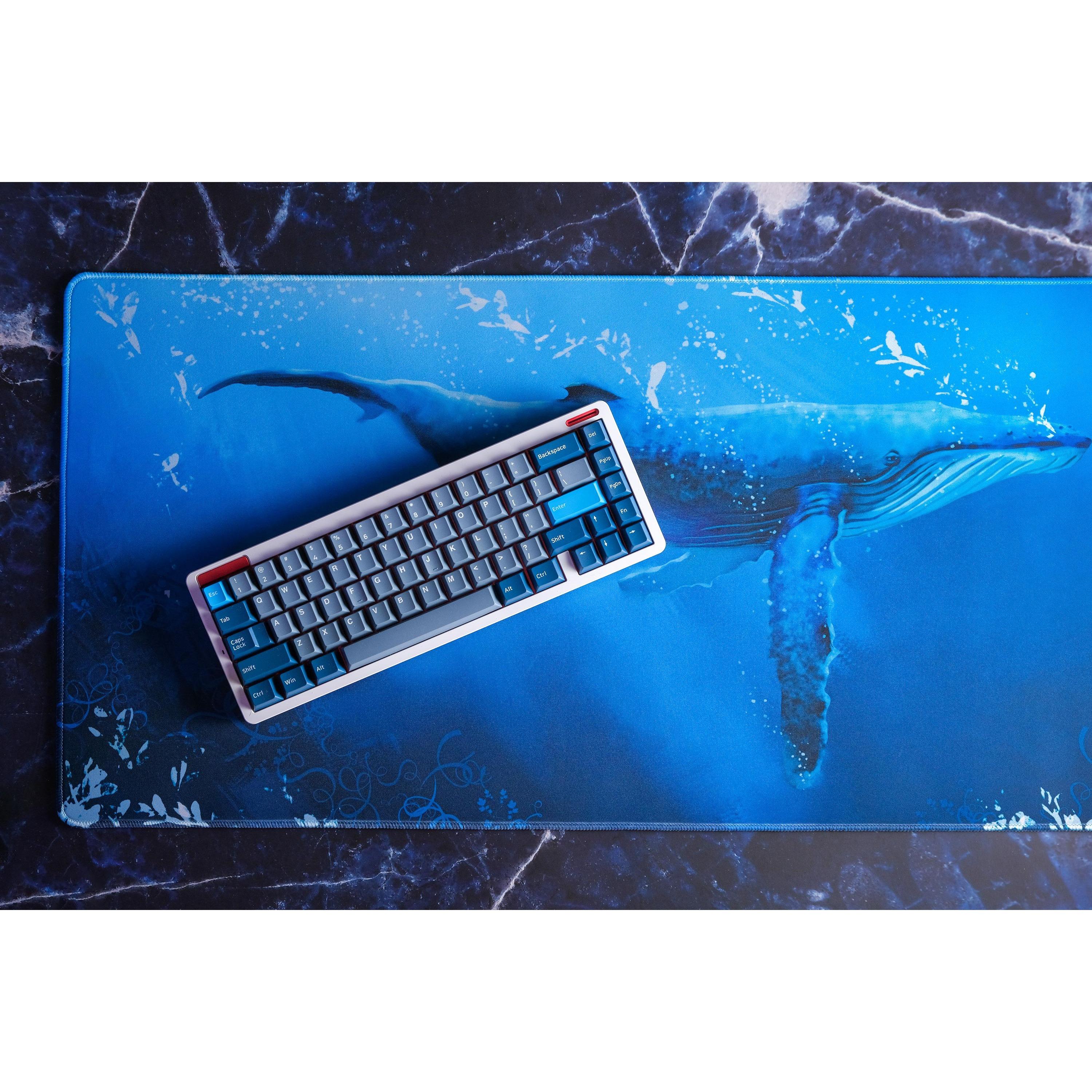 Whale PBT (Unused Return)