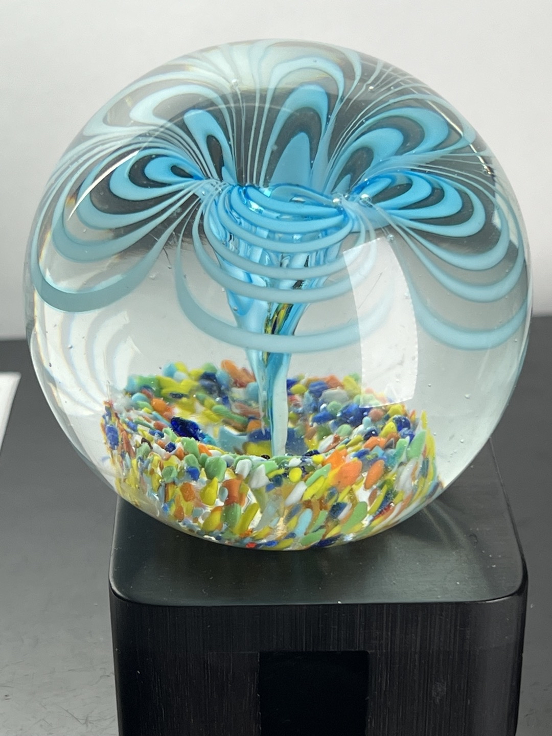 #31 - SDS Seaport Group Glass Paperweight