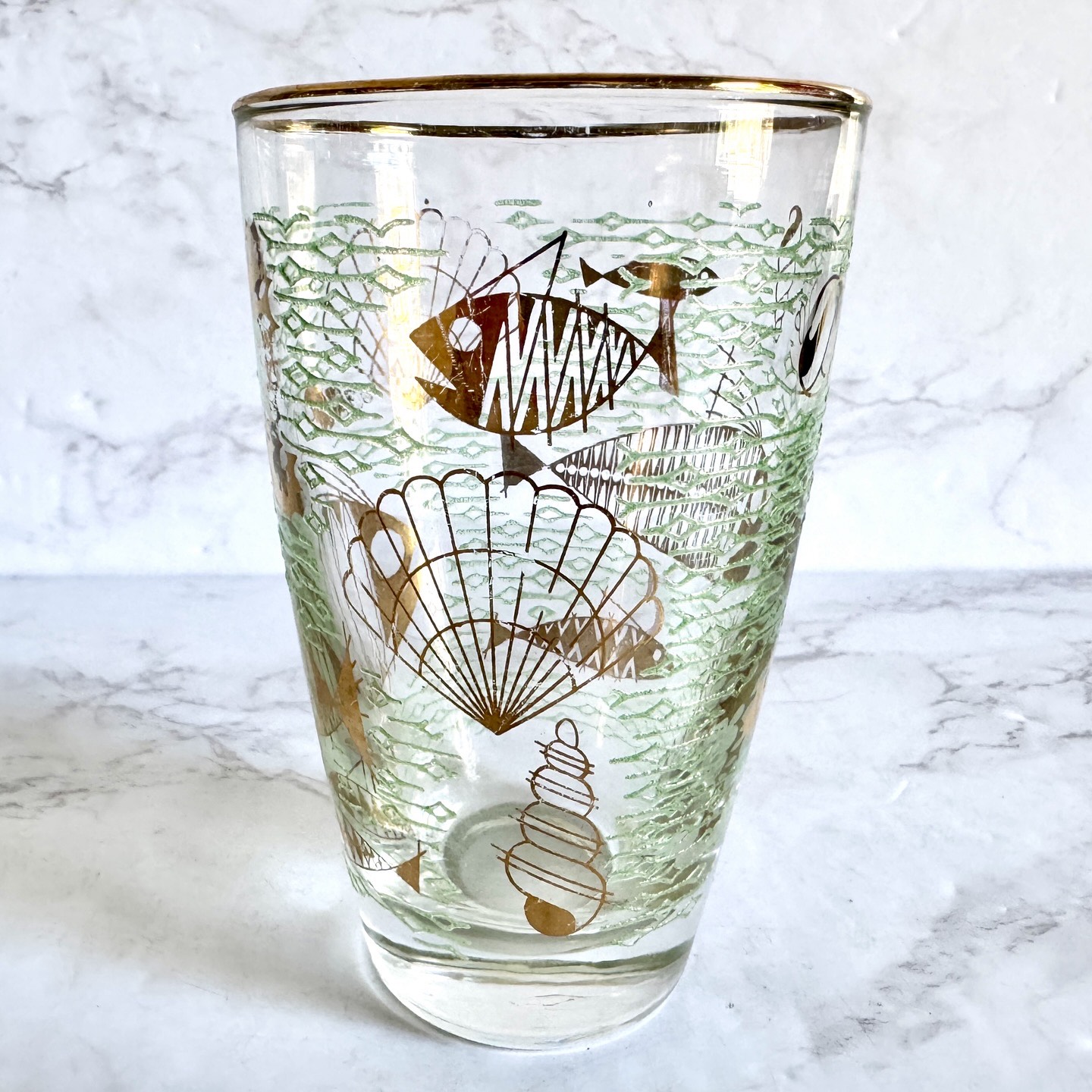 Vintage Libbey Marine Life Glass Tumbler Fish Seashells Starfish MCM