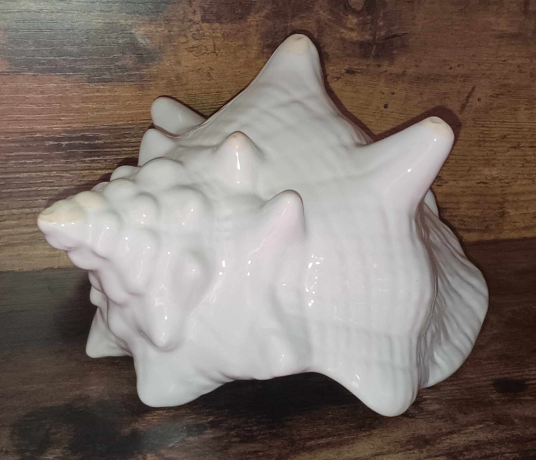 Vintage Glazed Ceramic Conch Seashell