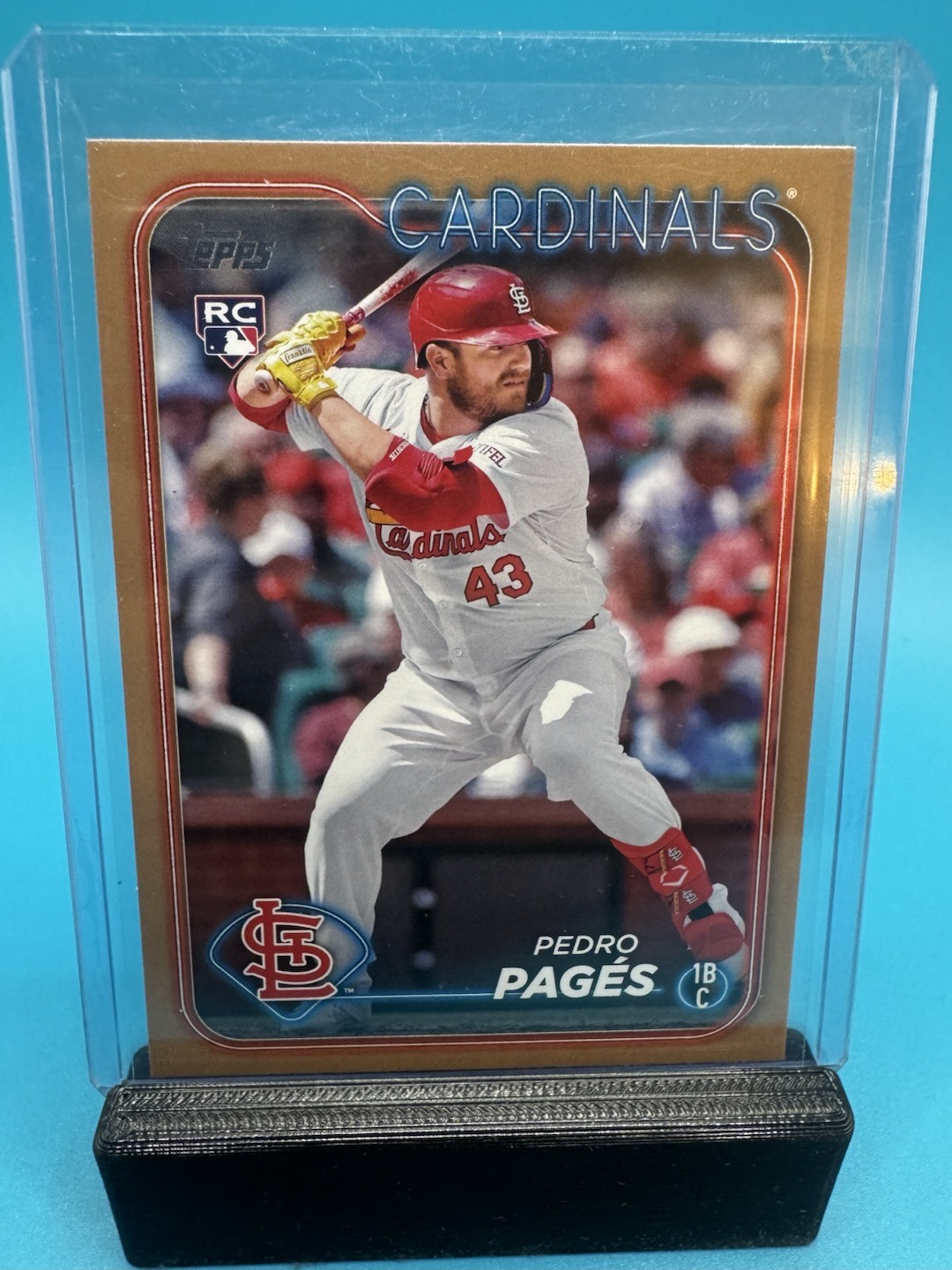 Pedro Pages Topps Update Gold /2024 RC St. Louis Cardinals