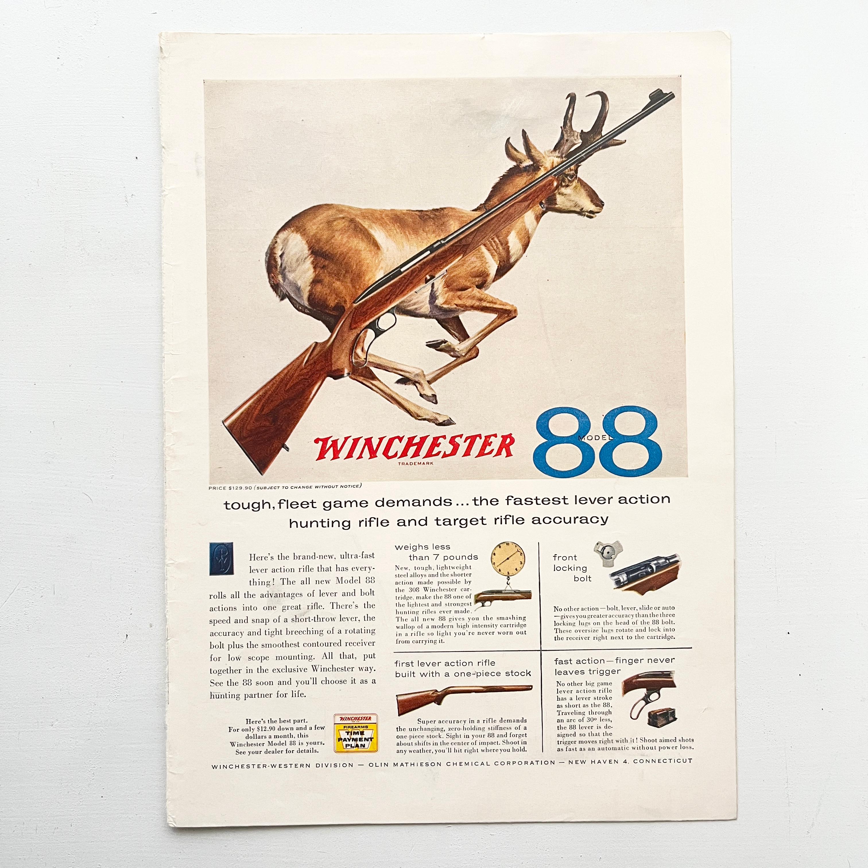 Winchester 88 Magazine Print Advertisement Rifle Whitetail Buck 1950s ...