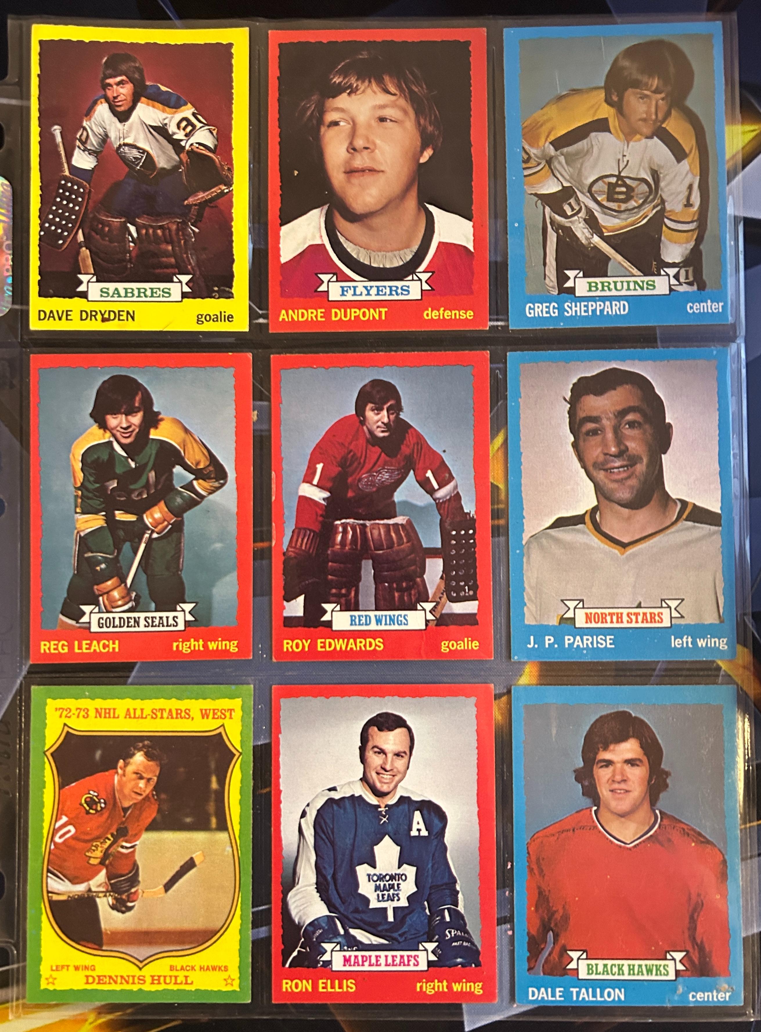 Large Random Hockey Lot