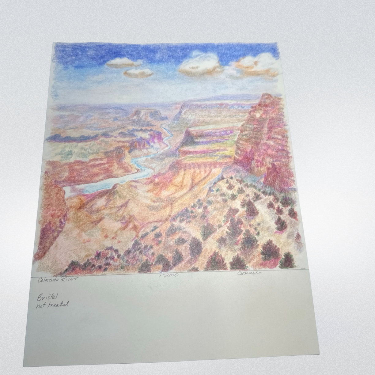 Artist Drawing By Connie Gardner Landscaping Of The Colorado River