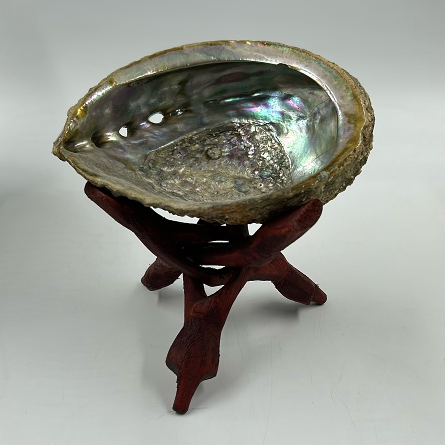 Large Vintage Abalone Shell With Stand 6” Across