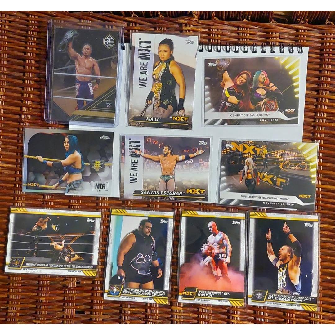Lot of 10 NXT Wrestling cards. (E)